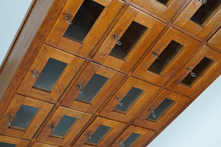 Vintage Dutch Oak Glass Door Locker Cabinet, 1930s For Sale at 1stDibs