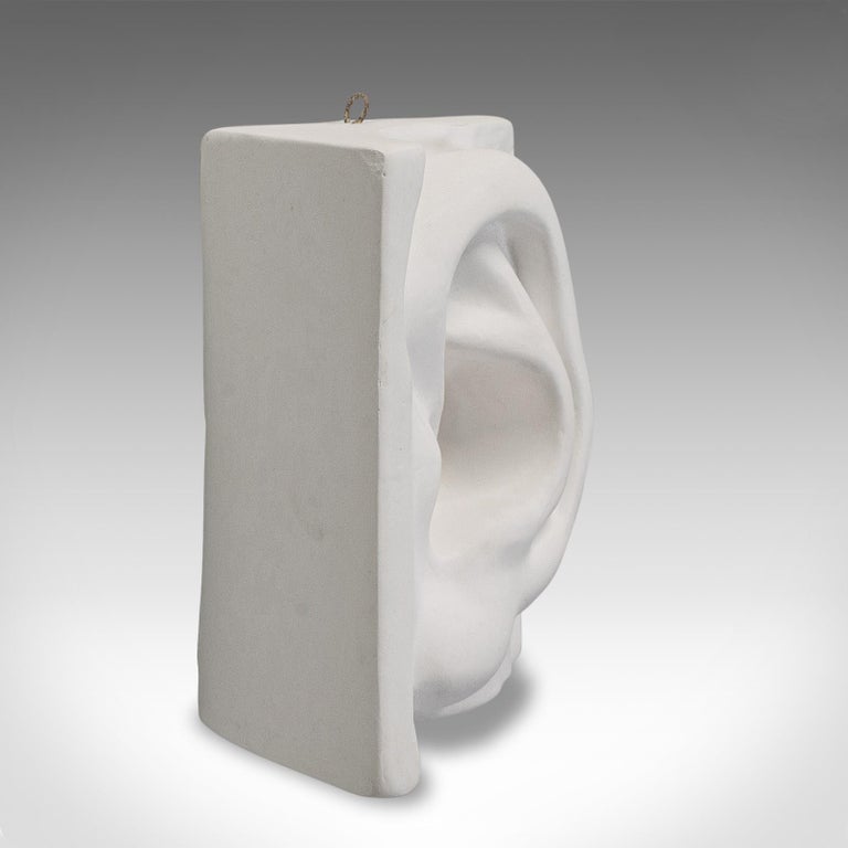 Vintage Ear Sculpture, English, Plaster, Haut Relief, Anatomical ...