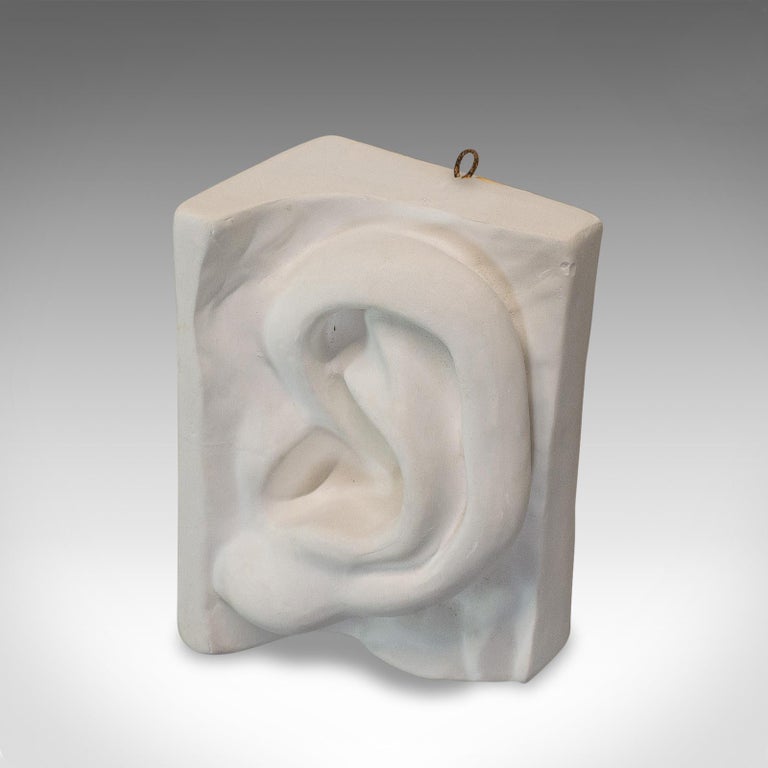 Vintage Ear Sculpture, English, Plaster, Haut Relief, Anatomical ...