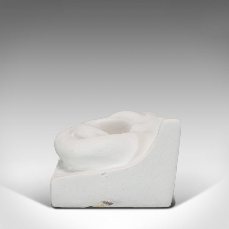 Vintage Ear Sculpture, English, Plaster, Haut Relief, Anatomical ...