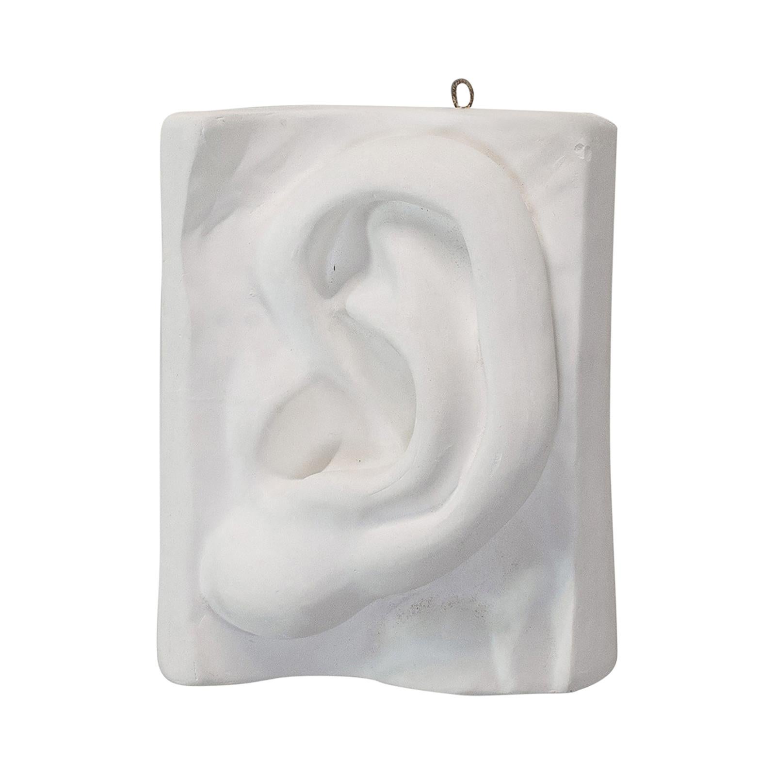 Vintage Ear Sculpture, English, Plaster, Haut Relief, Anatomical ...