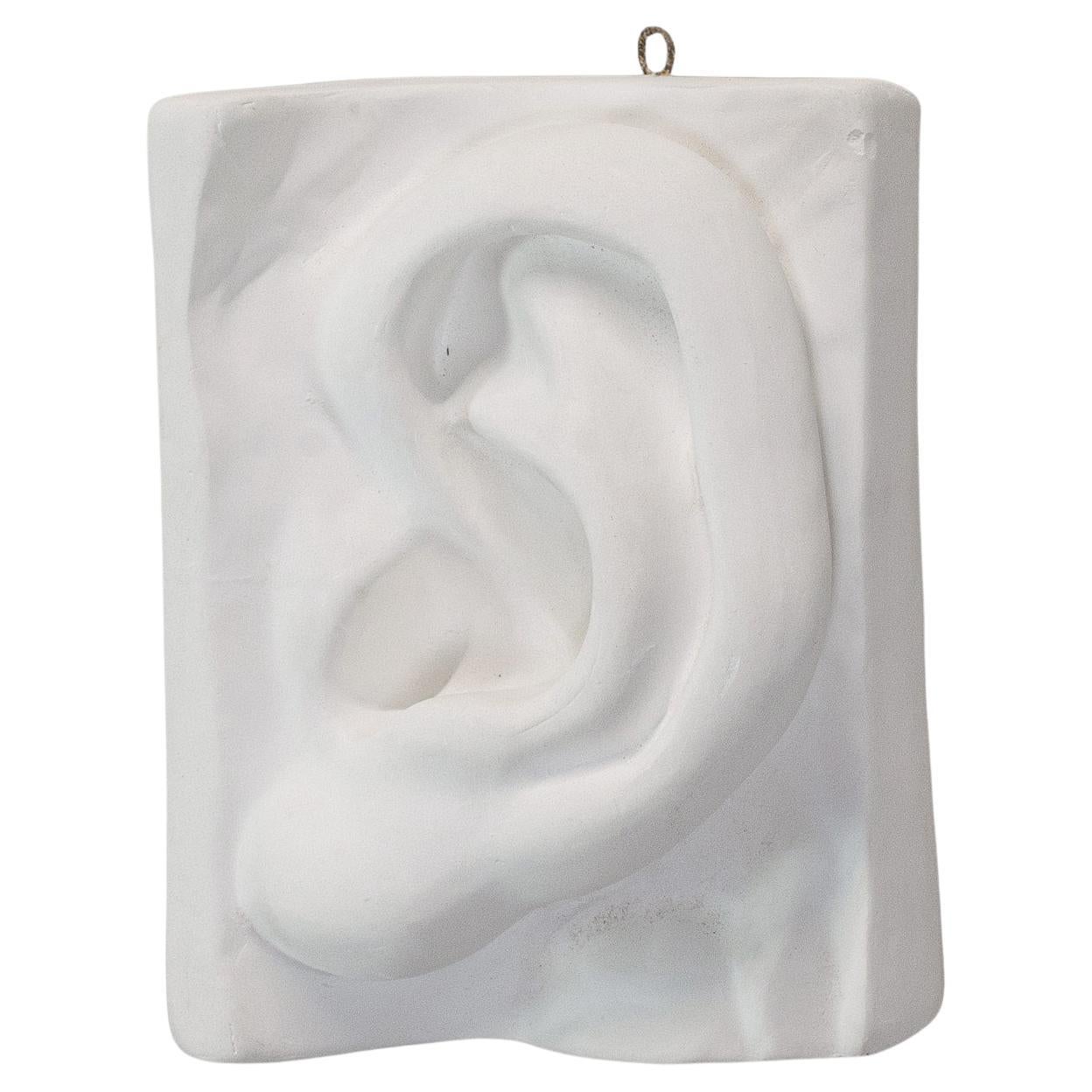 Sculptural Plaster Ear For Sale at 1stDibs