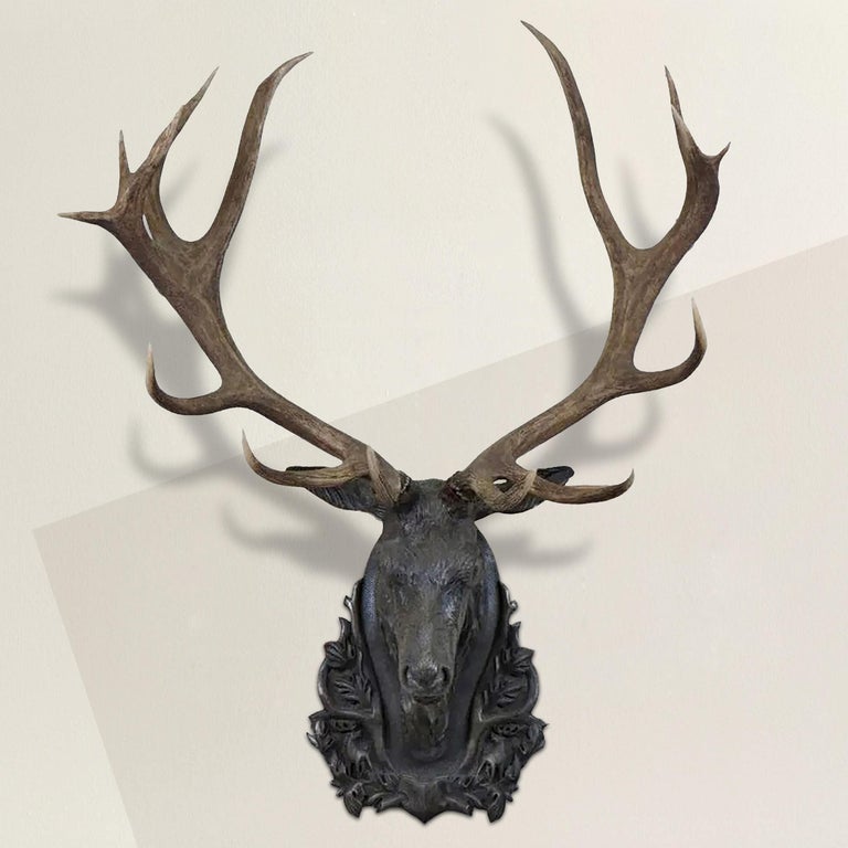 trophy red stag mount