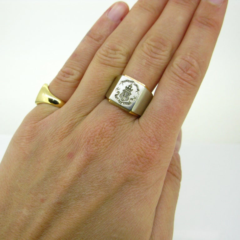 Vintage Family Crest Signet Ring, 18kt Yellow and White Gold, France ...