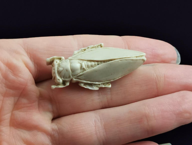 Vintage faux bone cicada brooch, insect pin For Sale at 1stDibs