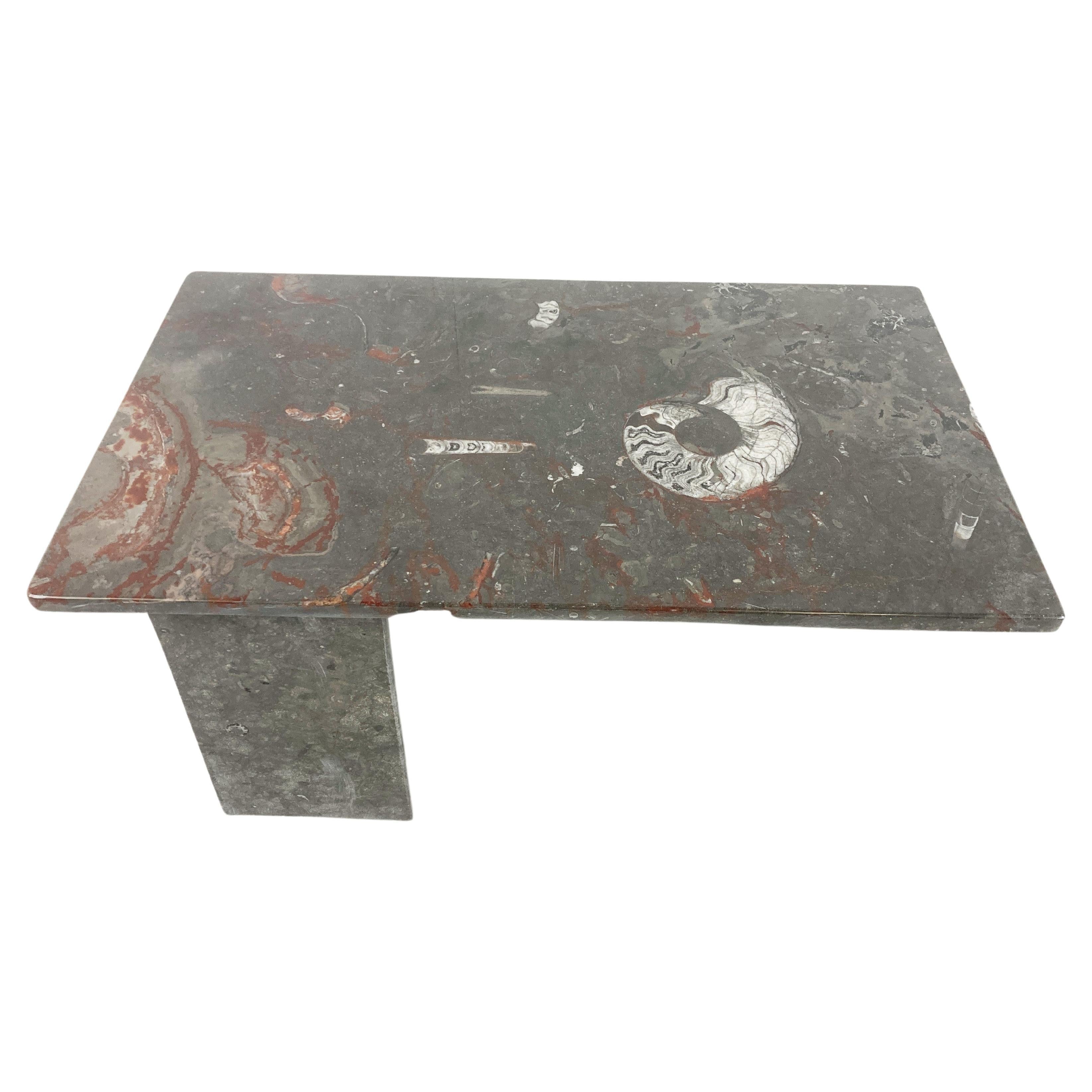 important Brazilian limestone coffee table with fossils at 1stDibs ...