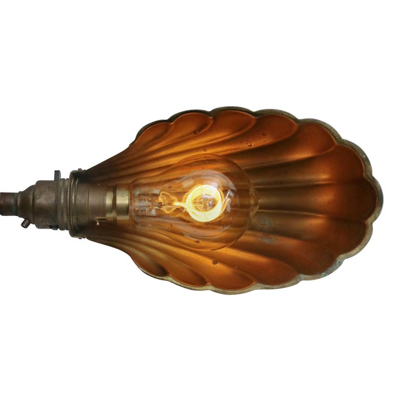 Vintage French Brass Shell Scone Wall Lamp at 1stDibs