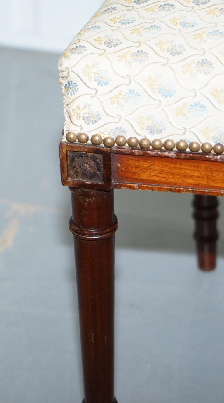 Vintage French Empire Mahogany Napoleon Style Dining Chairs Pair Ormolu ...