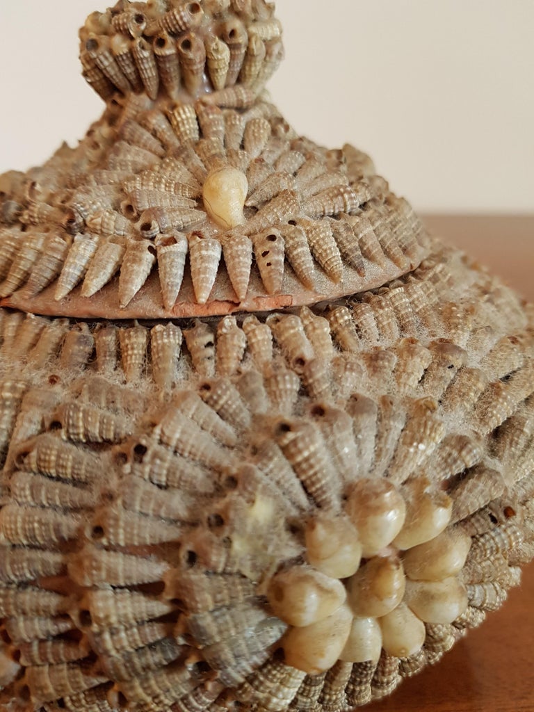 Vintage French Shabby Chic Pot with Lid Encrusted with Shells at 1stDibs