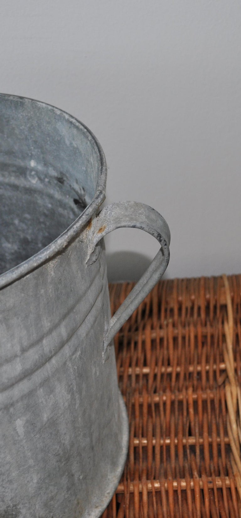 Vintage Galvanized Zinc Planter, 1950s For Sale at 1stDibs