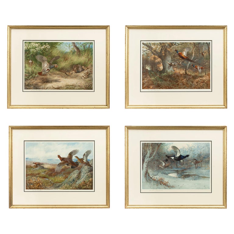 Vintage Game Bird Prints, Colotypes by Archibald Thorburn 'The Seasons ...