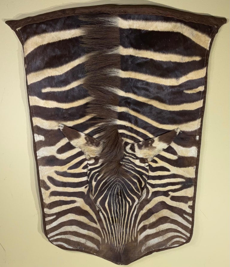Vintage Genuine Zebra Hide Wall Hanging For Sale at 1stDibs