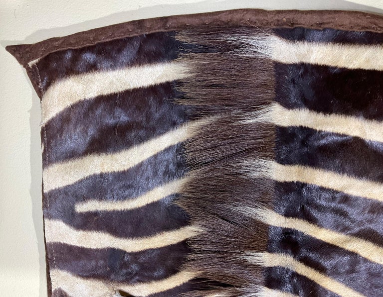 Vintage Genuine Zebra Hide Wall Hanging For Sale at 1stDibs