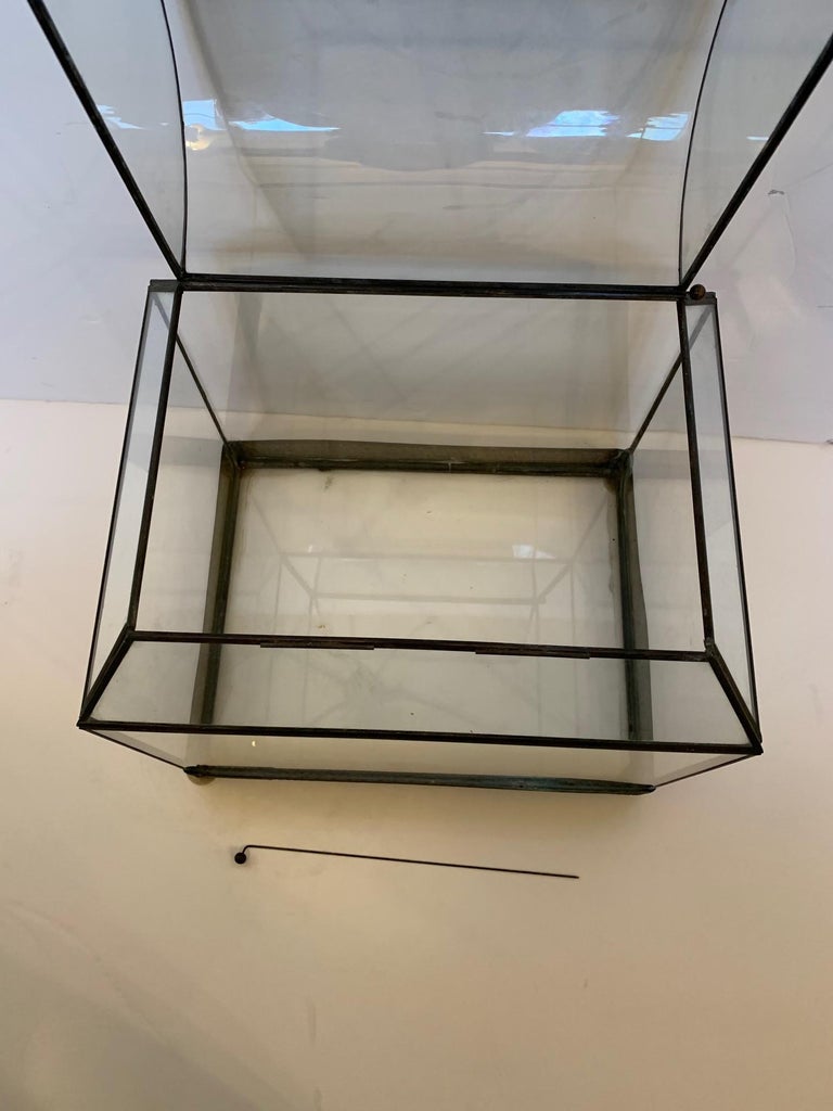 Vintage Glass and Metal Terrarium at 1stDibs