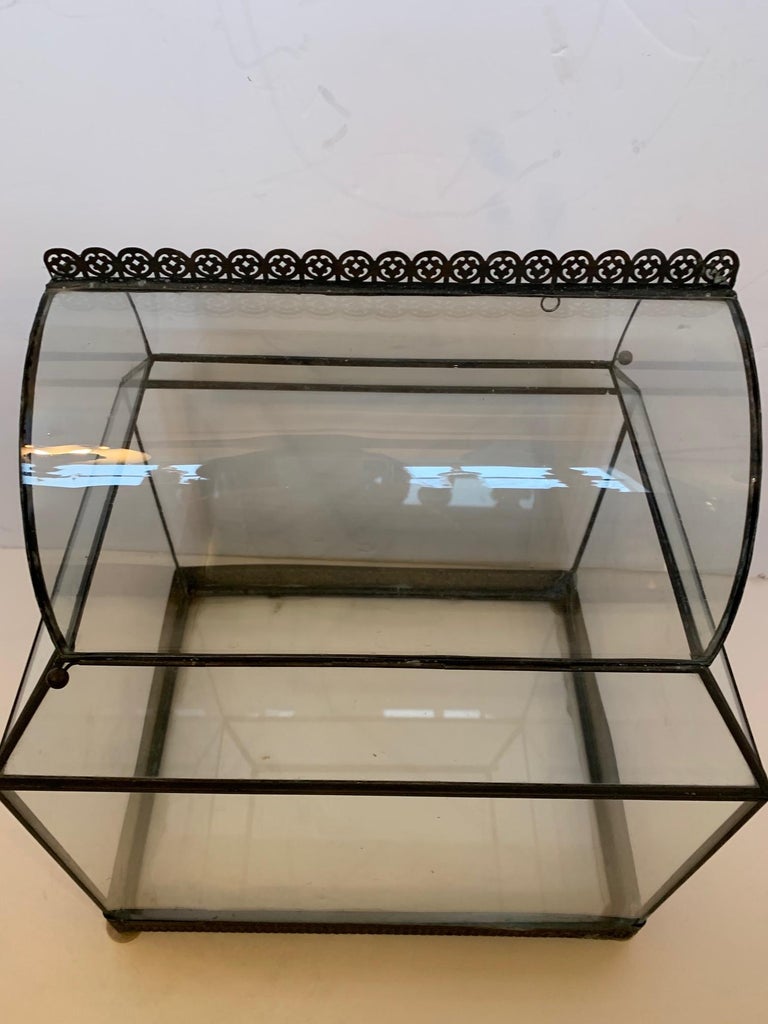 Vintage Glass and Metal Terrarium at 1stDibs
