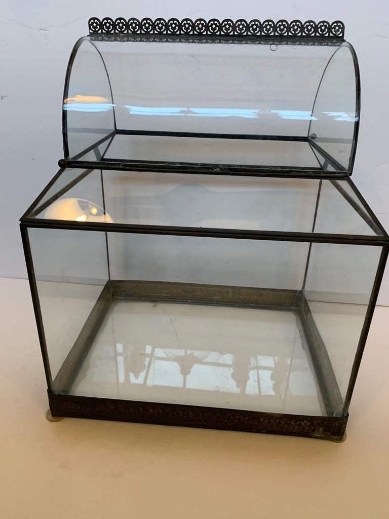 Vintage Glass and Metal Terrarium at 1stDibs