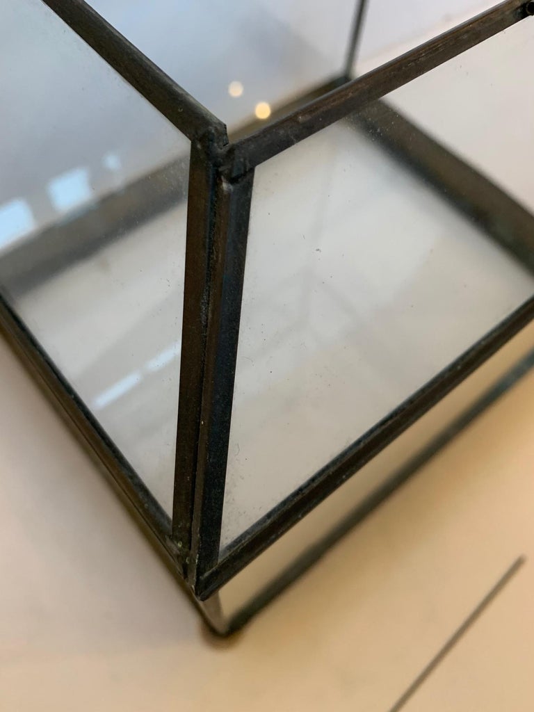 Vintage Glass and Metal Terrarium at 1stDibs