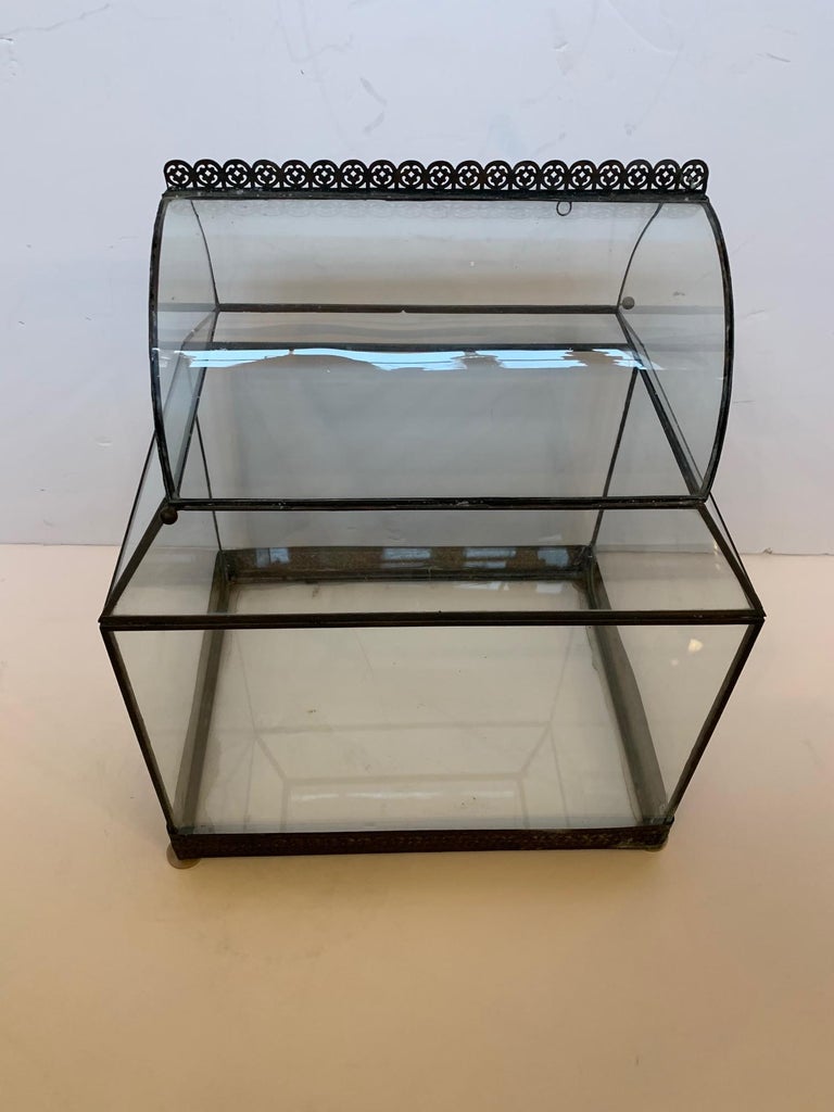Vintage Glass and Metal Terrarium at 1stDibs