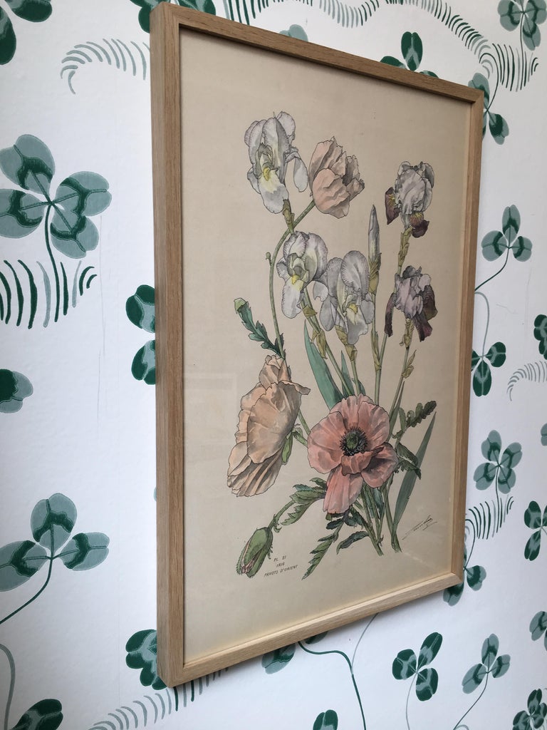 Vintage Hand-Coloured Botanical Print, Italy, 19th Century at 1stDibs