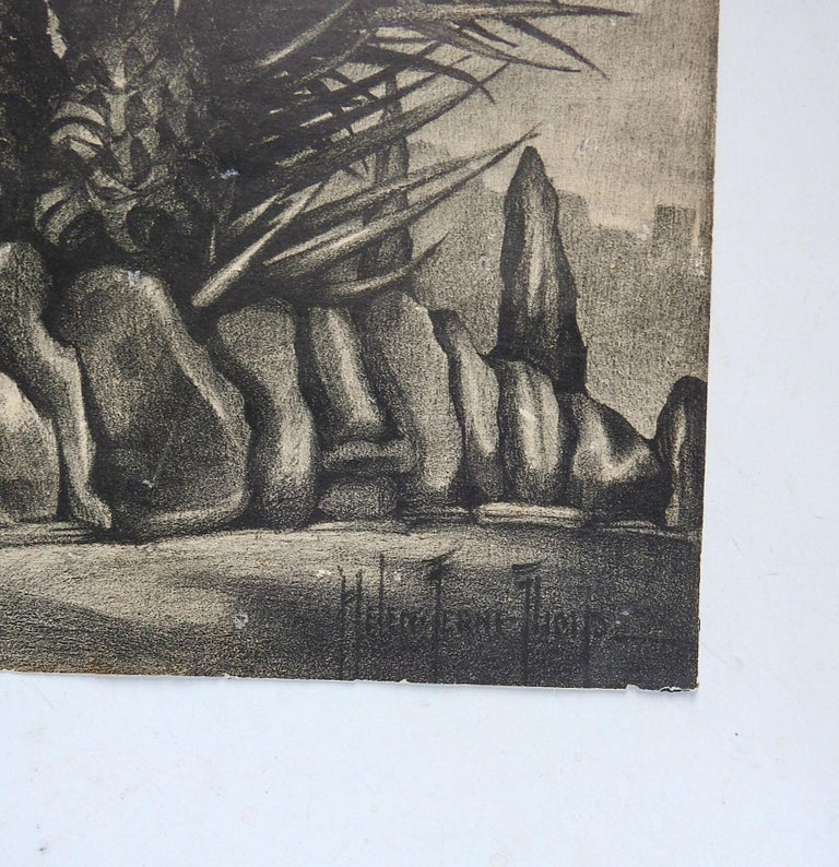 Vintage Helen Ferne Slimp Yucca Lithograph For Sale at 1stDibs