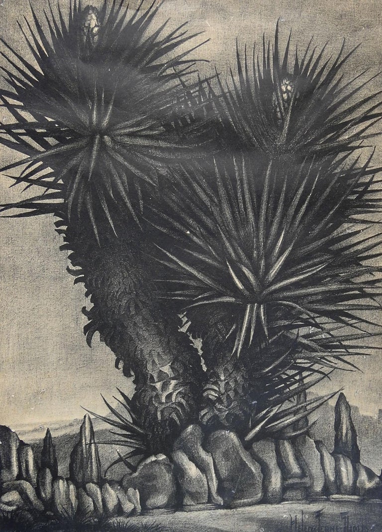 Vintage Helen Ferne Slimp Yucca Lithograph For Sale at 1stDibs