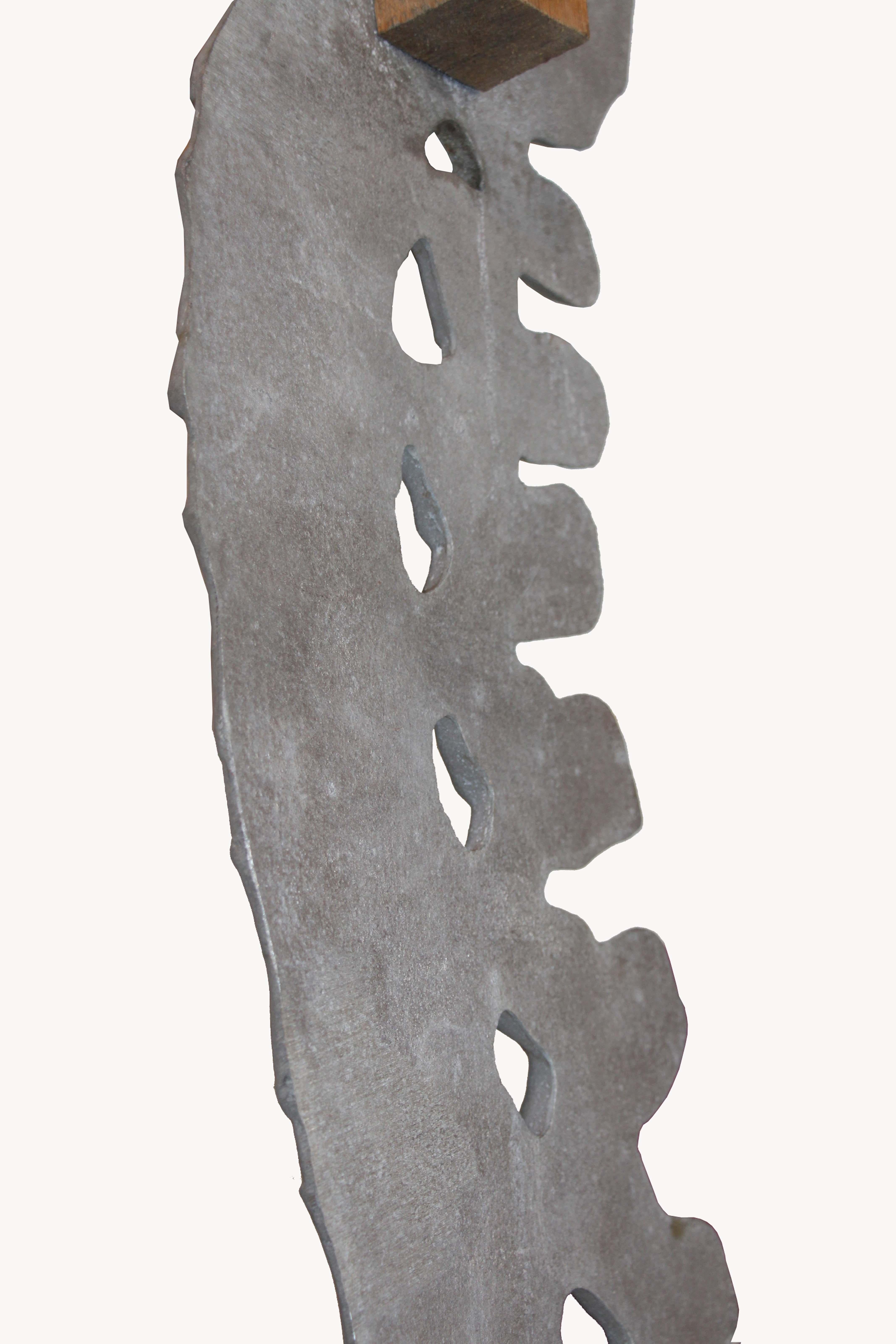 Vintage Human Spine Wall Art at 1stDibs