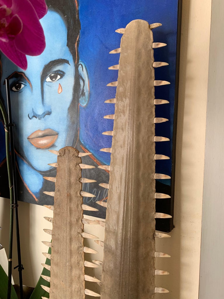 Set of Two Vintage Sawfish Bill Rostrum Snouts at 1stDibs