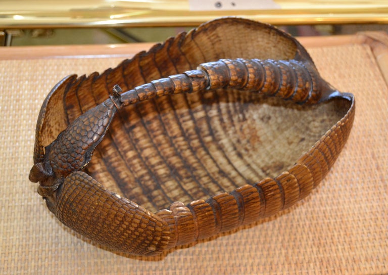 Vintage Life-Size Handcrafted Armadillo Shell Basket at 1stDibs ...