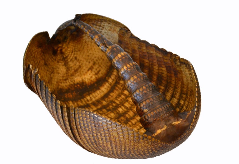 Vintage Life-Size Handcrafted Armadillo Shell Basket at 1stDibs