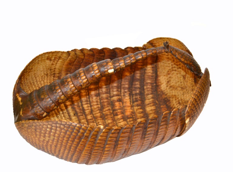 Vintage Life-Size Handcrafted Armadillo Shell Basket at 1stDibs