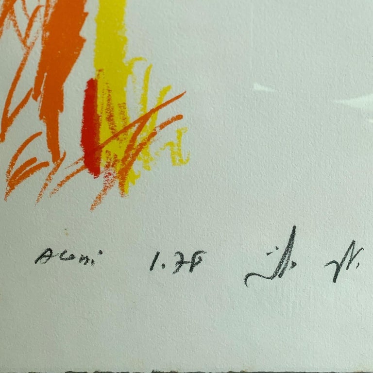 Vintage Lithographic Print Framed, Signed by Artist, 1978 For Sale at ...
