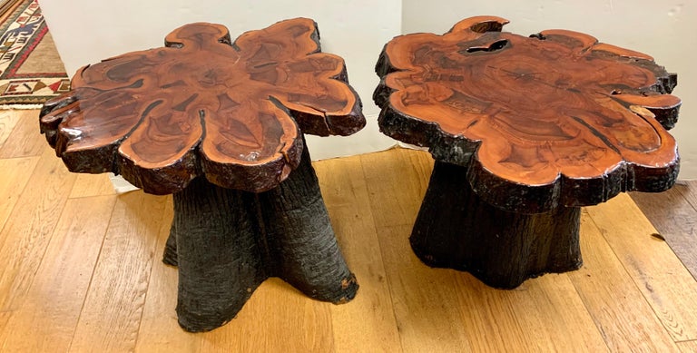 Vintage Live Edge Organic Tree Slab End Tables, Pair at 1stDibs