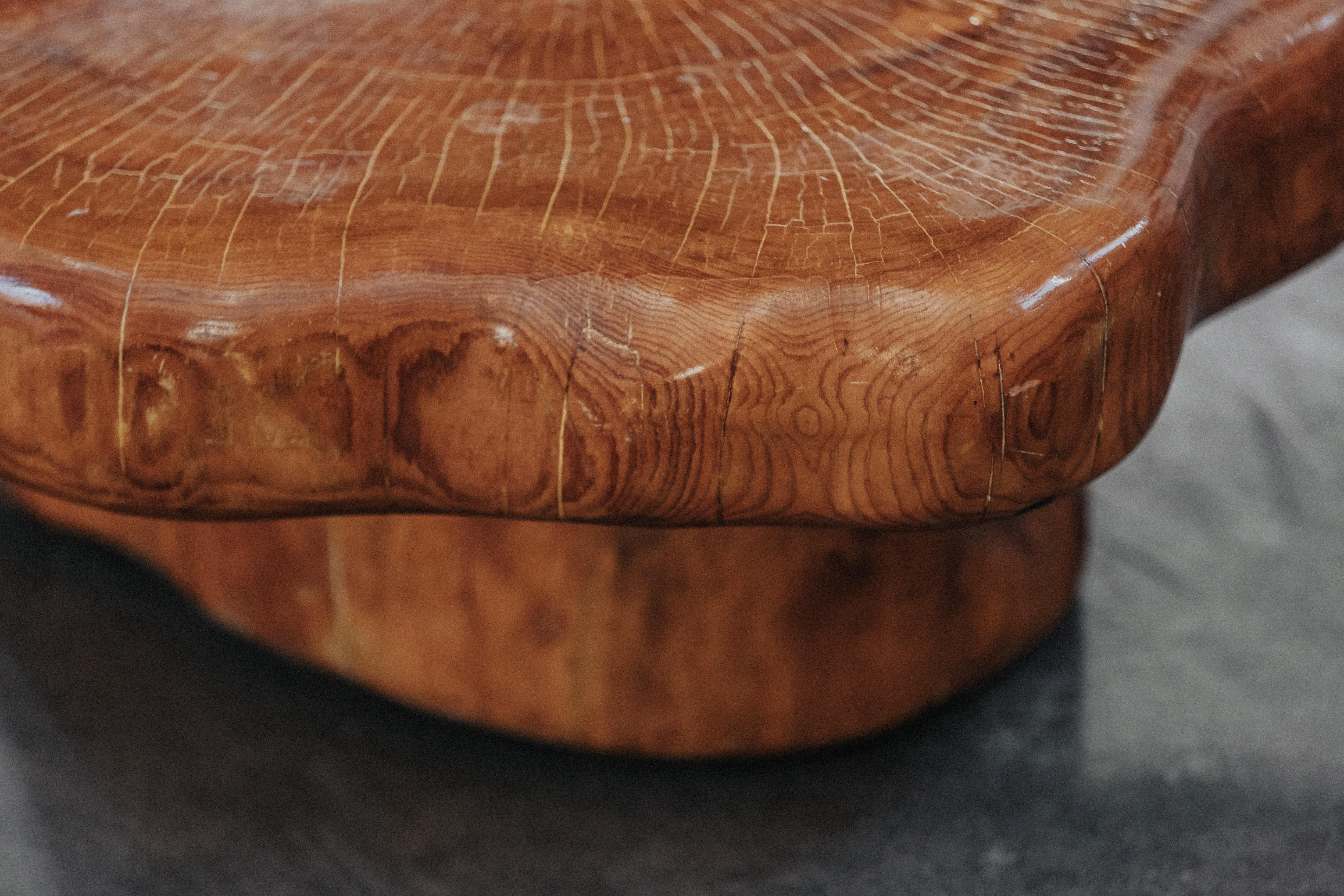 Vintage Low Live Edge Coffee Table From France, Circa 1960 For Sale at ...