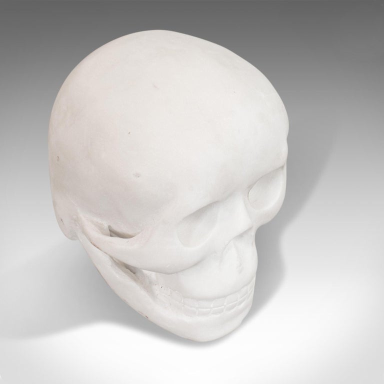 Vintage Marble Skull English Bianco Assoluto Paperweight, Ornament ...