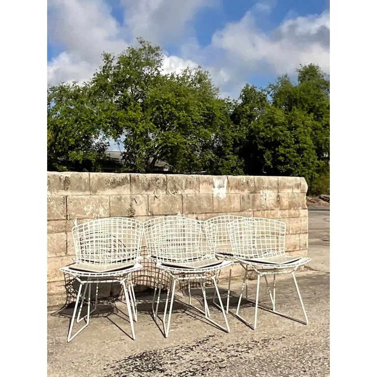 Vintage MCM Knoll Bertoia Dining Chairs, Set of 6 at 1stDibs