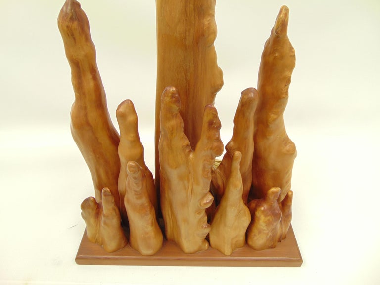 Vintage Midcentury Enormous Cypress Root Lamp For Sale at 1stDibs
