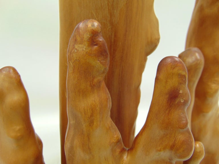 Vintage Midcentury Enormous Cypress Root Lamp For Sale at 1stDibs