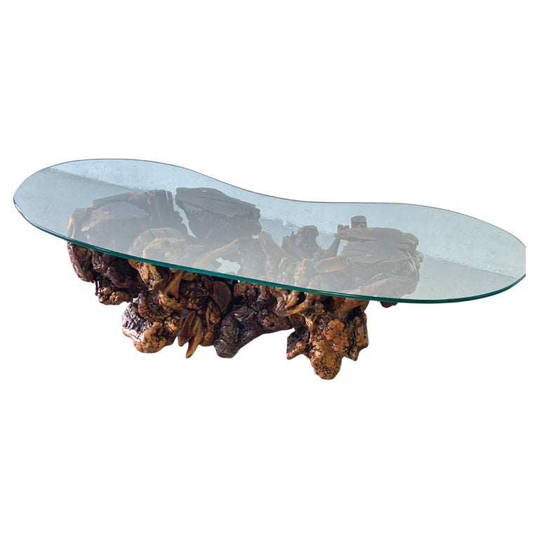 Table basse vintage en bois flotté en verre amorphe/ biomorphe, moderne ...