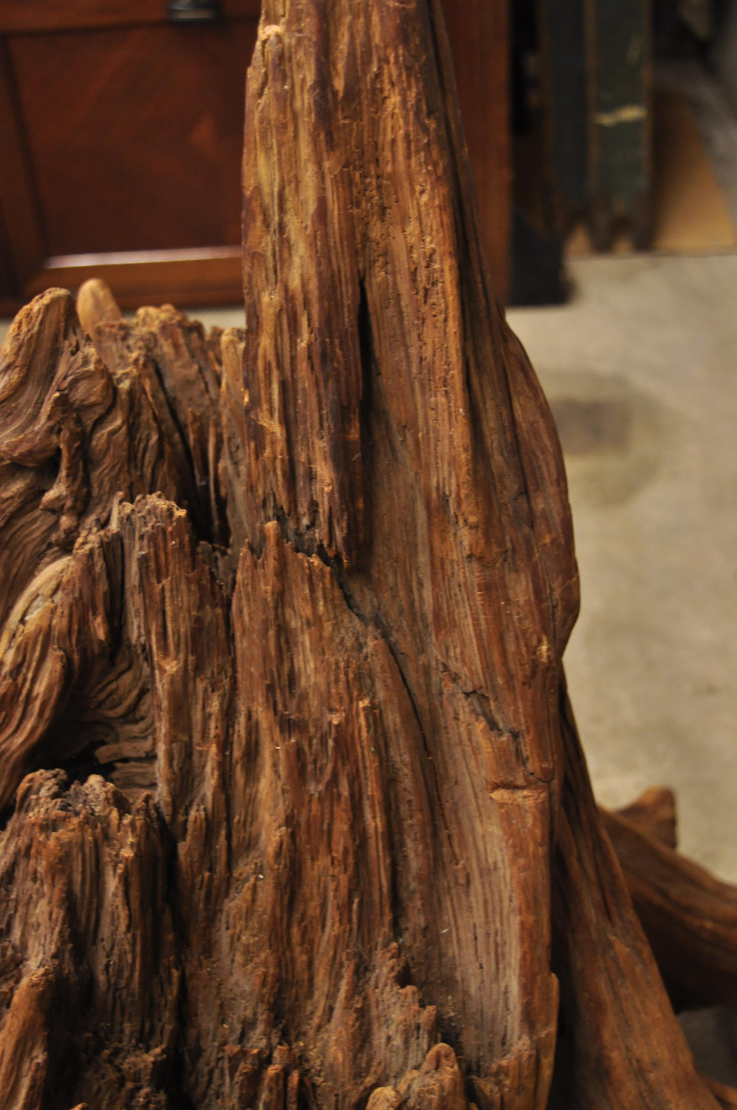 Vintage Mid-Century Modern Free Form Large Tree Root Driftwood Figural ...