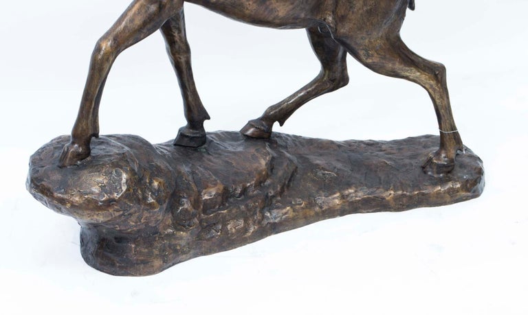 Vintage Monumental Bronze Stag Sculpture, 20th Century at 1stDibs