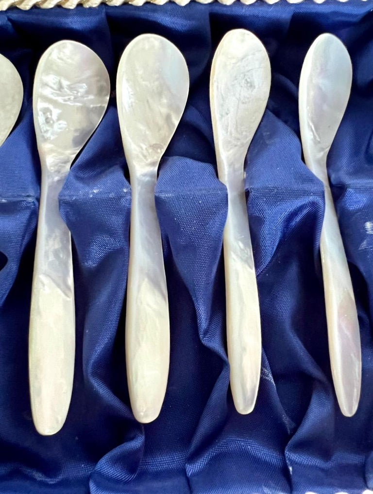 Vintage Mother of Pearl Caviar Spoons in Box at 1stDibs