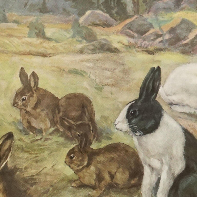 Vintage Mural Rollable Animal Wall Chart Rabbit Bunny Poster at 1stDibs