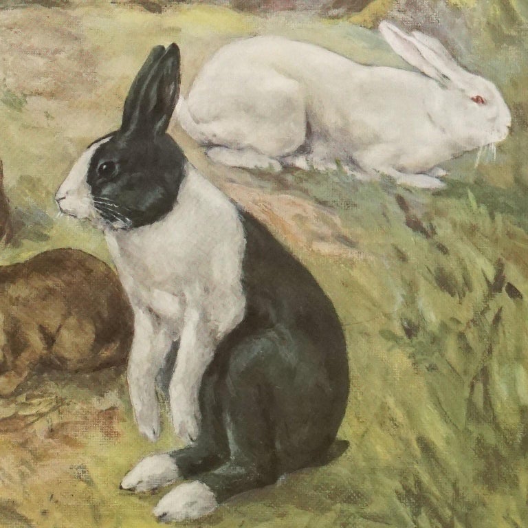 Vintage Mural Rollable Animal Wall Chart Rabbit Bunny Poster at 1stDibs