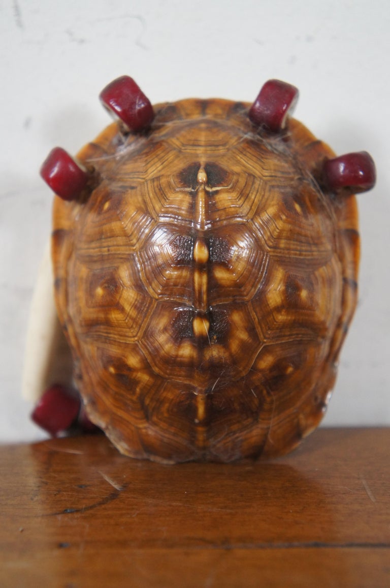 Vintage Native American Dance Regalia Beaded Turtle Shell Rattle Topper ...