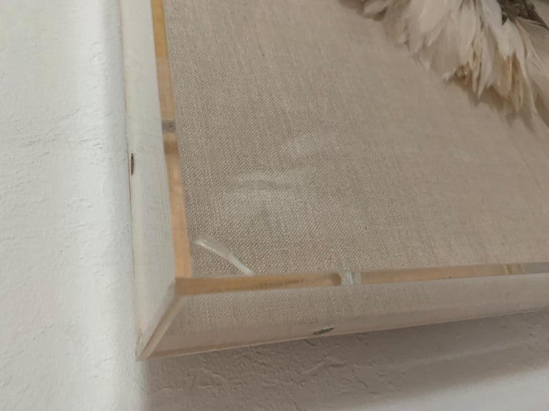 Vintage Native American Feather and Woven Fans Mounted in Lucite, a ...