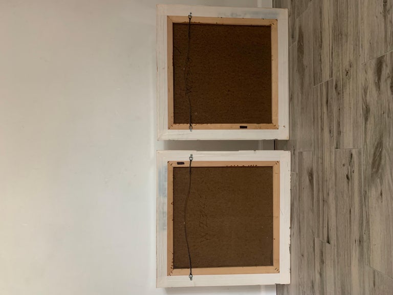 Vintage Native American Feather and Woven Fans Mounted in Lucite, a ...