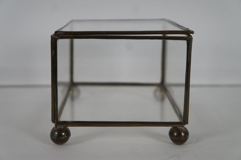 Vintage Nautical Glass Casket Display Box Case and Bear Paw Clam Shell ...