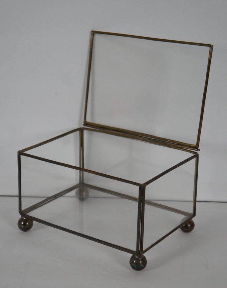 Vintage Nautical Glass Casket Display Box Case and Bear Paw Clam Shell ...