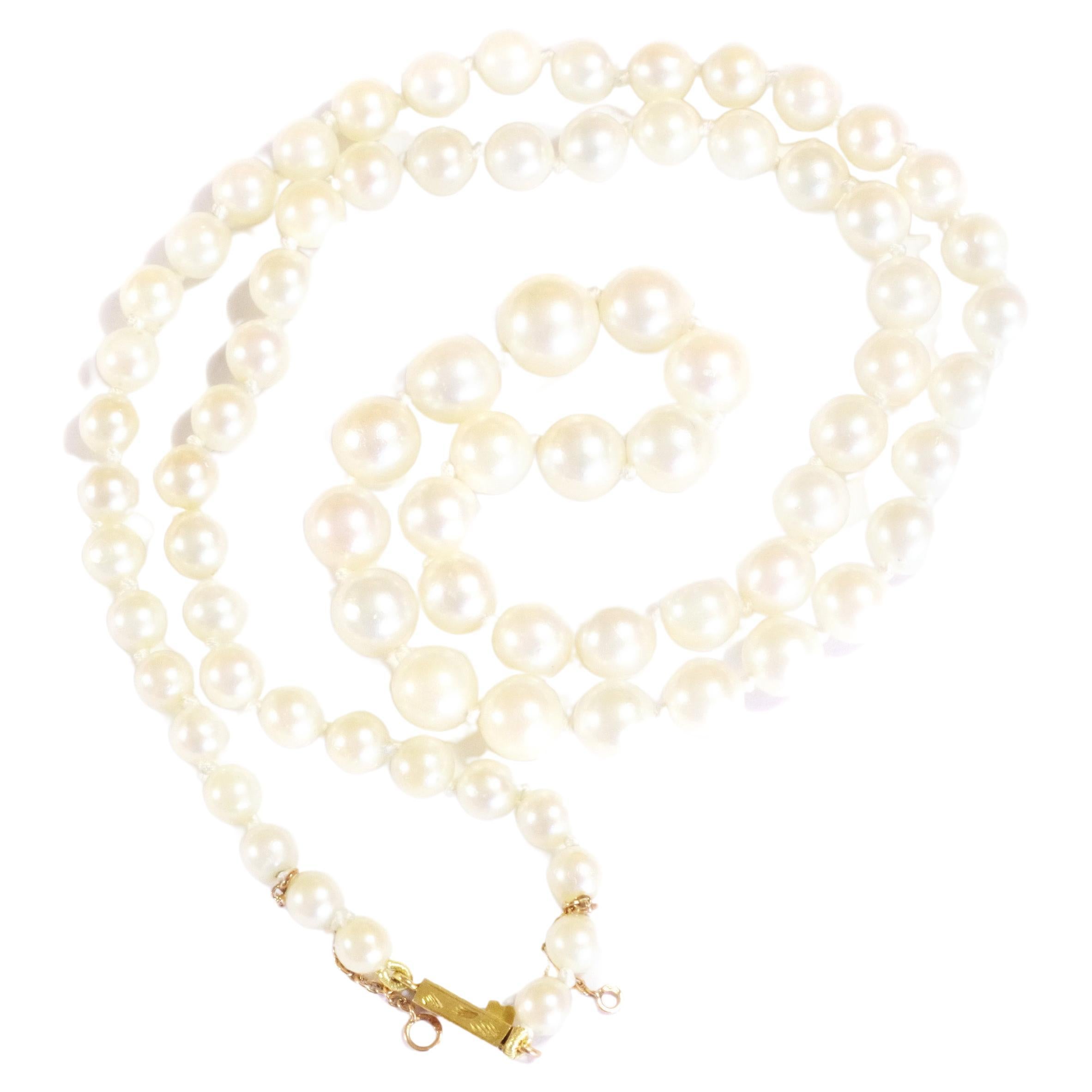Necklace Two Rows of Pearls with 18 Carat Yellow Gold Clasp For Sale at ...