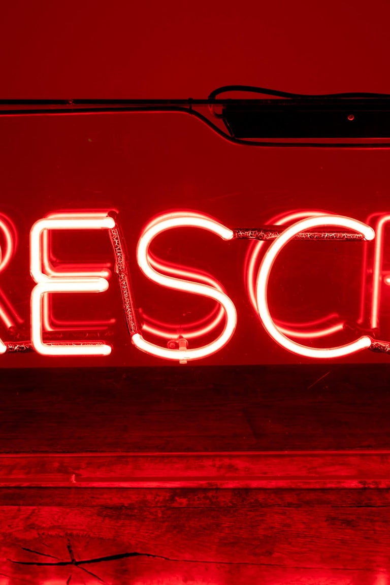 Vintage Neon Chemist Sign in a Perspex Box, 20th Century For Sale at ...